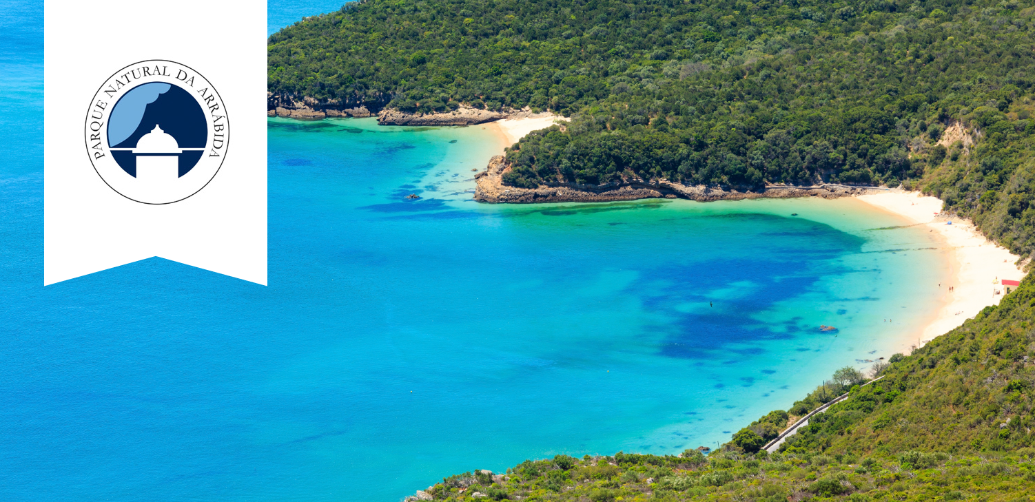 Dá a Mão à Floresta | Já conheces o Parque Natural da Arrábida?